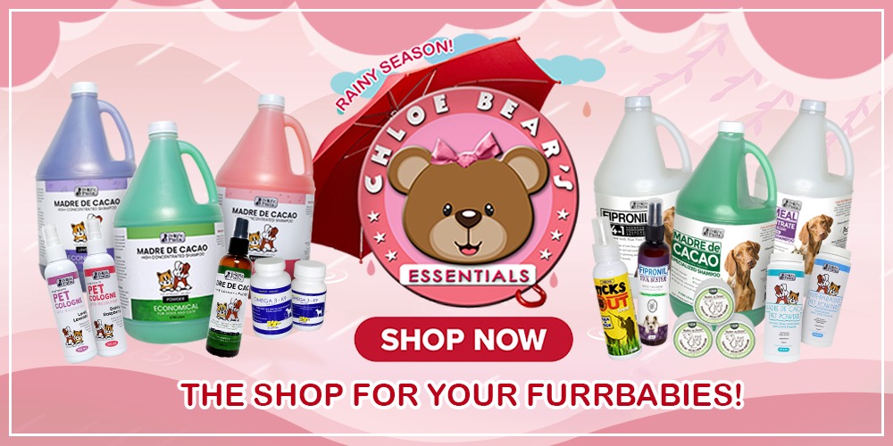 Chloe Bear, Online Shop | Shopee Philippines