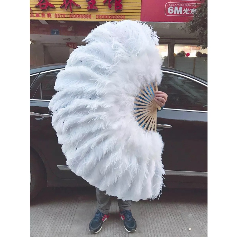 Ostrich Feathers Fan
