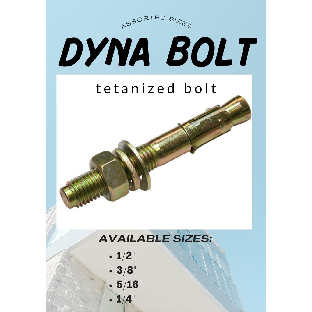 Dyna Bolt Assorted Sizes | Shopee Philippines