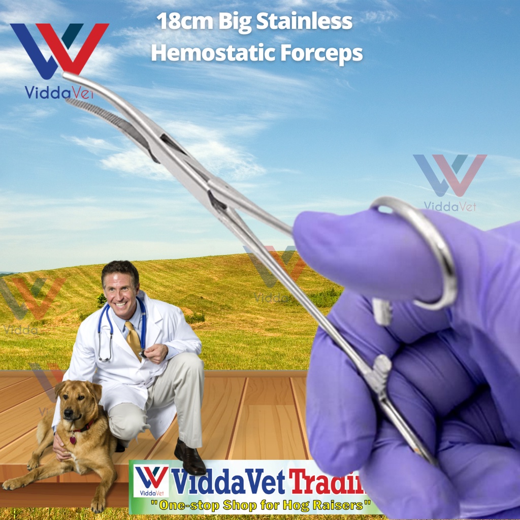 18 cm Curved Hemostatic Forceps Big Stainless Veterinary Surgical Tools ...