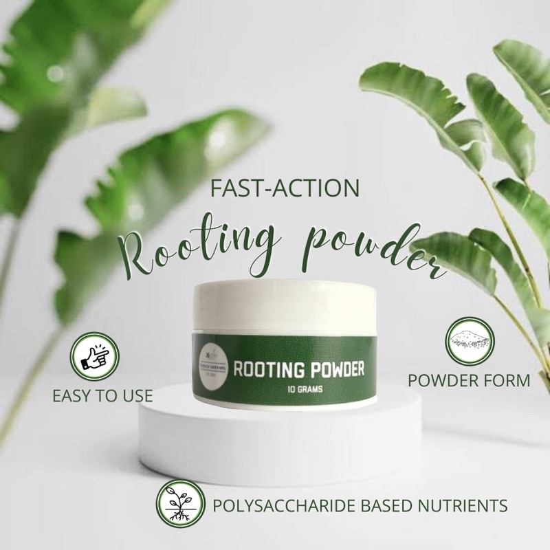 Rooting powder 10g (Fast action and ready to use) | Shopee Philippines