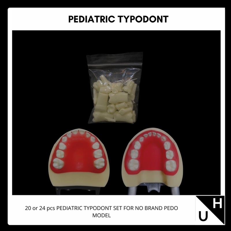 PEDIATRIC PEDO replacement typodont teeth set (20 or 24 pcs) | Shopee ...