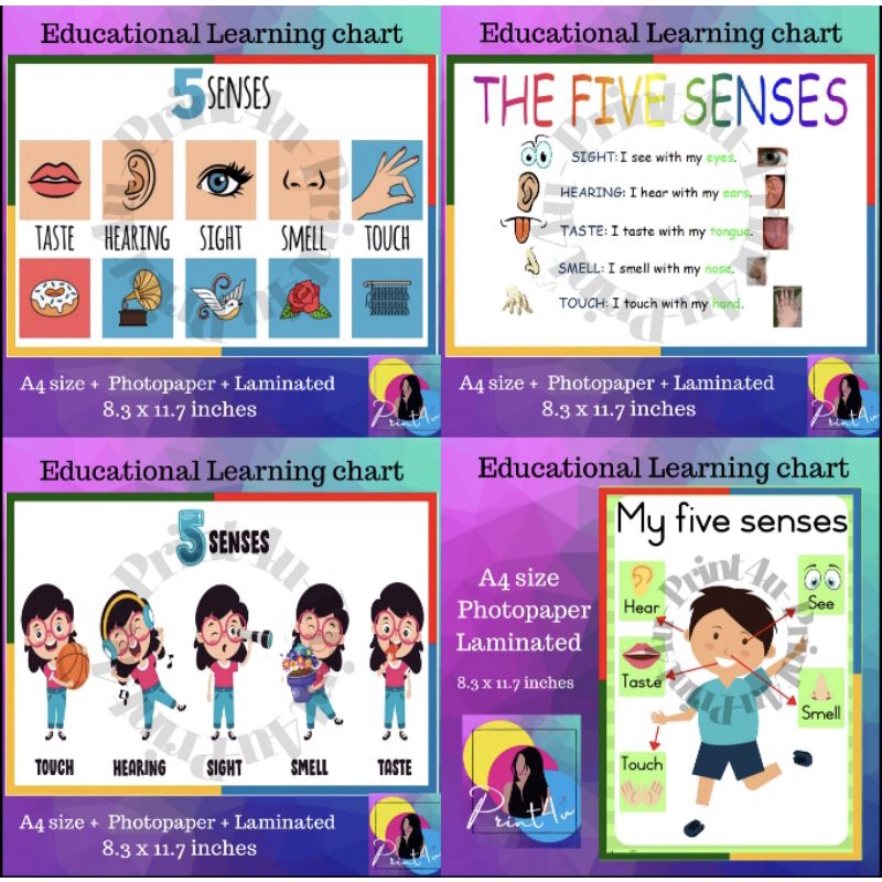 5 senses educational chart for kids Laminated A4 | Shopee Philippines