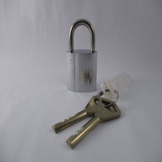 Abloy Padlock PL320/20 High Security (Chrome) | Shopee Philippines