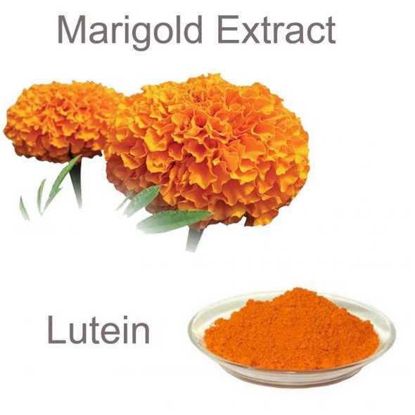 100-200g Lutein (Marigold Powder Extract) / Serbuk Ekstrak Lutein ...