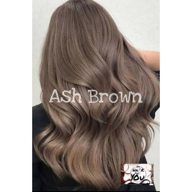Bremod Hair Color 100ml Ash Brown 8.10 (Set) With Oxidizer 100mo ...