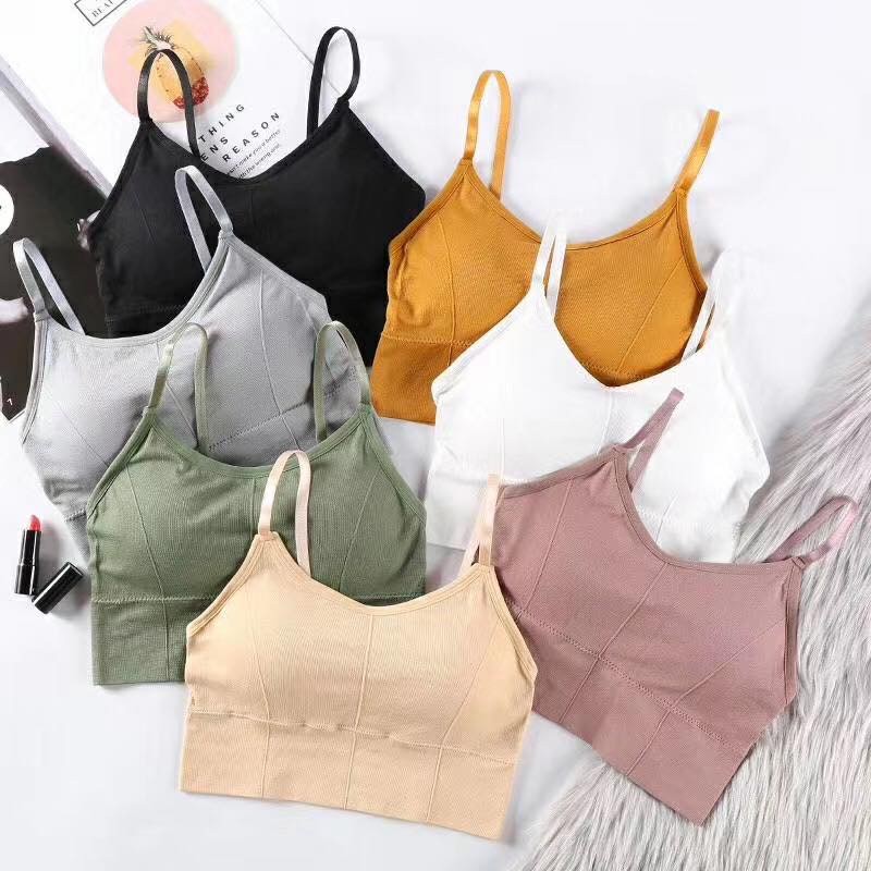 Wild Fashion Ladies Bra Stretchable Wireless Seamless Push Up
