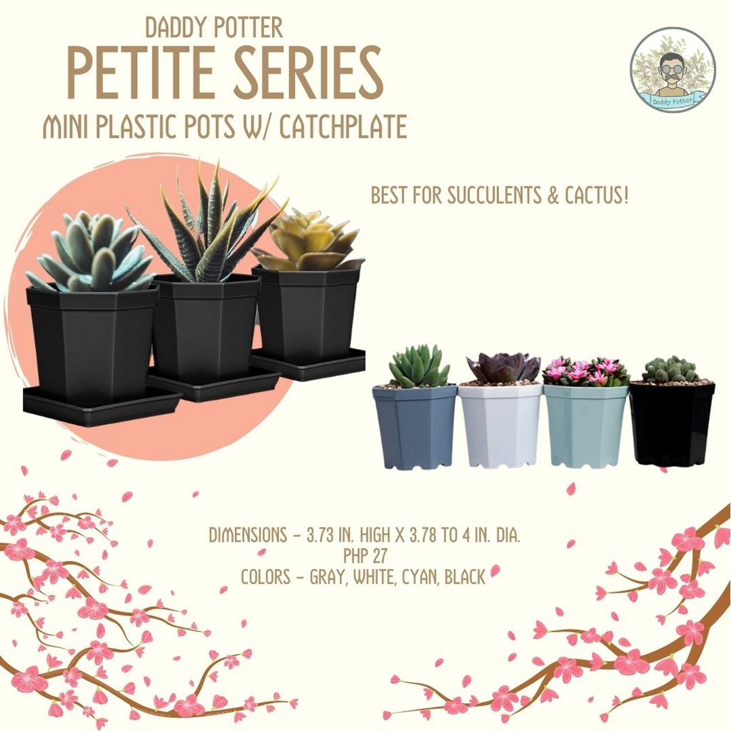 Daddy Potter Plastic Pots for plants with Catch Plate for Succulents ...