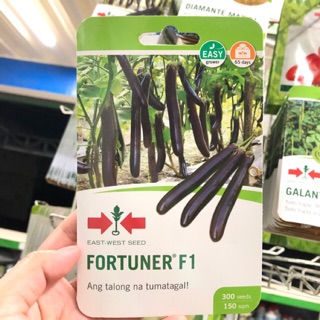 TALONG EGGPLANT SEEDS PACK SIZE - HYBRID PURPLE / GREEN EGGPLANT TALONG ...