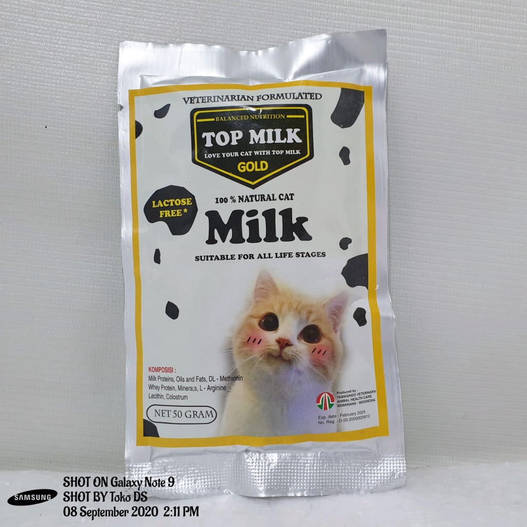 Top Milk Cat Kitten Milk Cat Milk Kitten Milk Kitten Persian Cat Milk