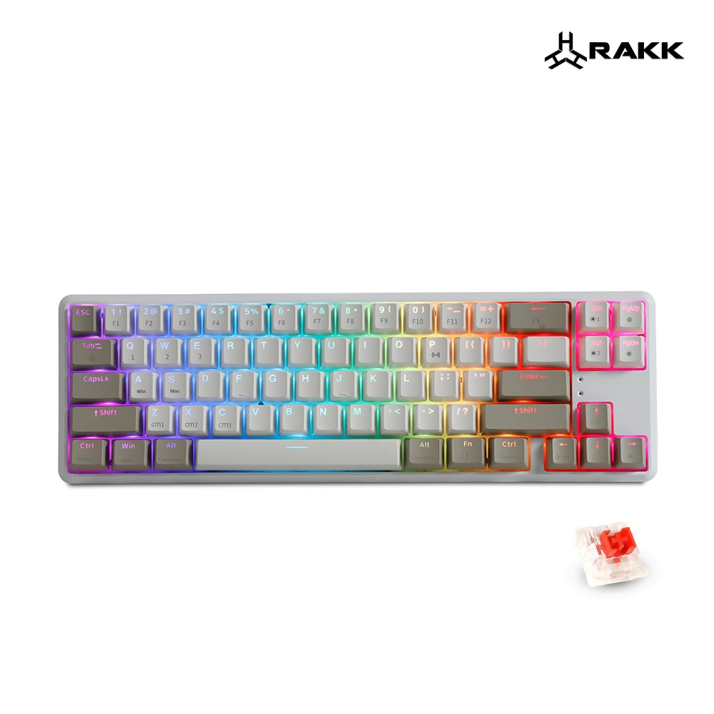 RAKK PLUMA Wireless Gaming Mechanical Keyboard|68 Keys RGB | Bluetooth ...