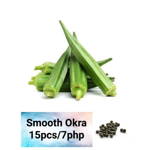 Smooth Okra Seeds (15pcs) | Shopee Philippines