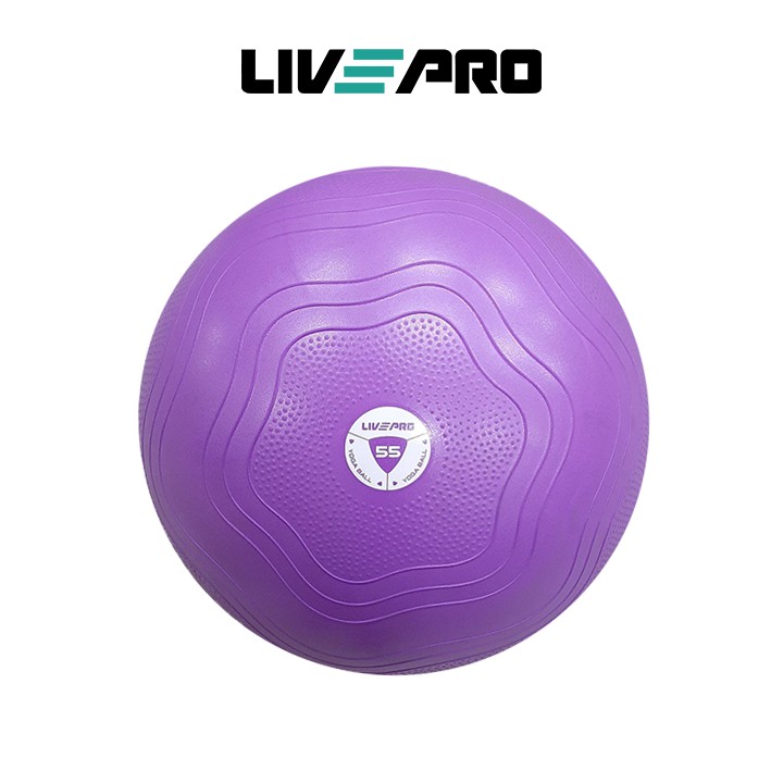 Livepro 55cm Gym Ball | Shopee Philippines