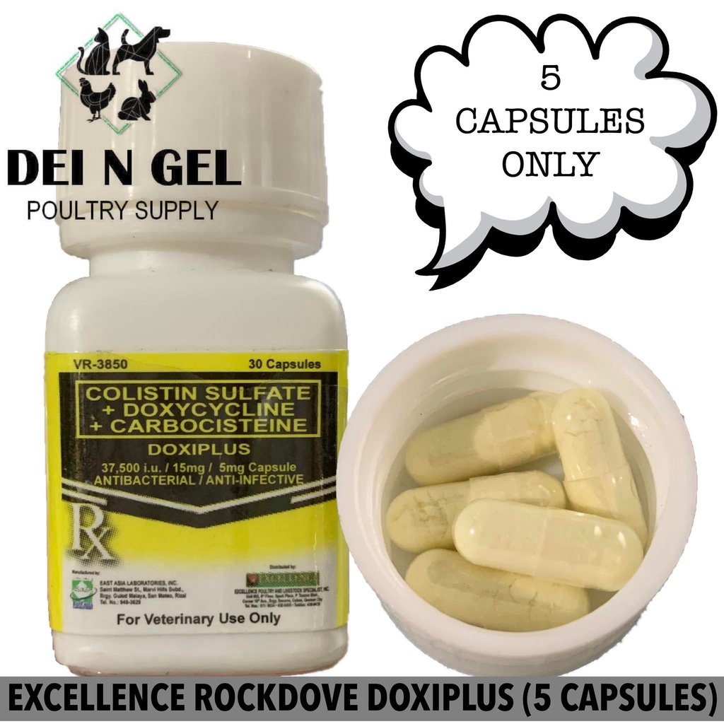 Doxiplus for Pigeon - Rockdove Excellence (5 CAPSULES) | Shopee Philippines
