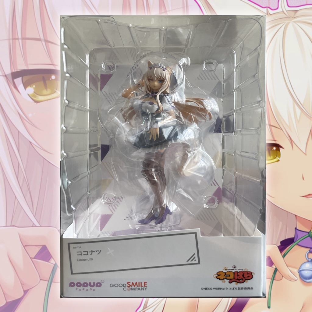 MISB POP UP PARADE Coconut | Shopee Philippines