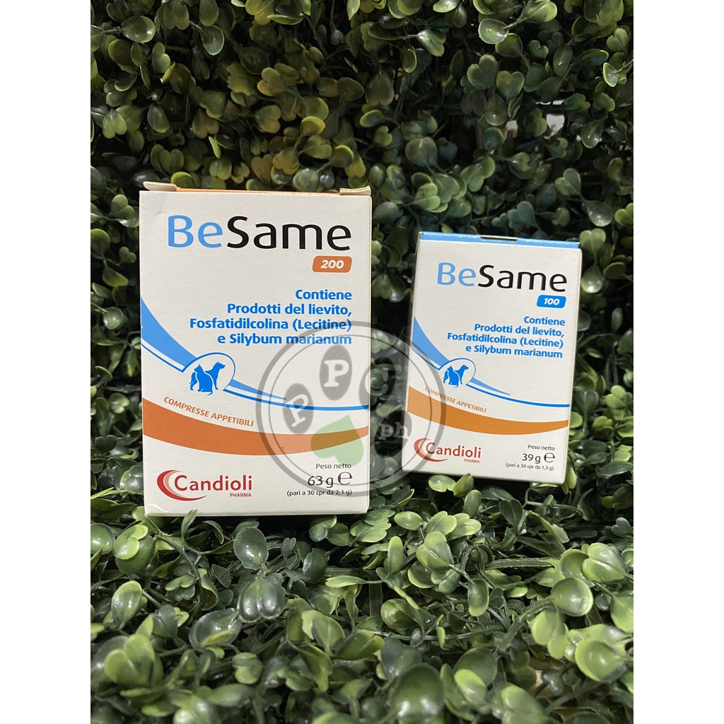 besame - Best Prices and Online Promos - Mar 2023 | Shopee Philippines