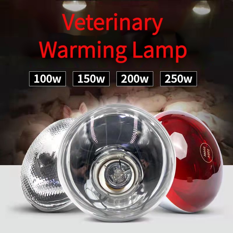 Pig Heat Lamp 100/150/200/250W Light Thickening Heat Lamp Thermal ...