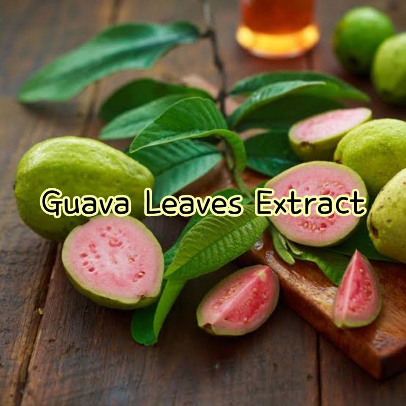 Guava Leaves Extract (water-soluble) | Shopee Philippines