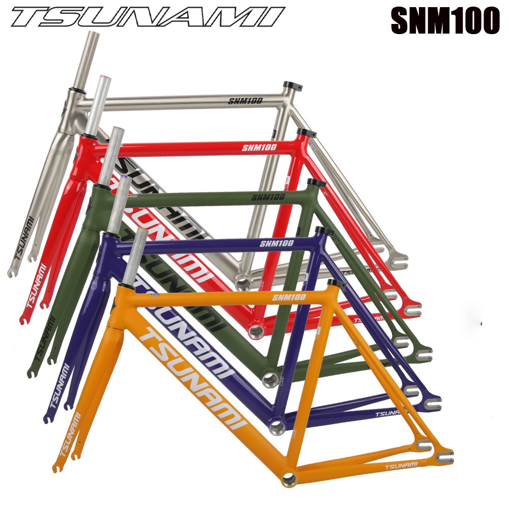 Tsunami SNM100 2021s Track Frame Set (55cm) | Shopee Philippines
