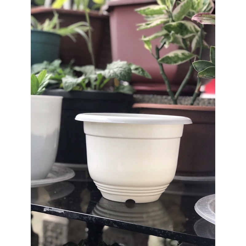 Small Round Pots (Off white) | Shopee Philippines