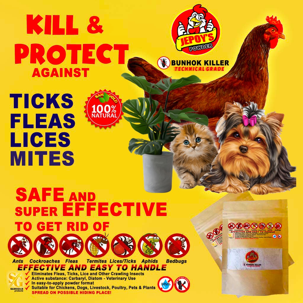 Jepoy's Powder Dog and Cat Pets Flea , Lice & Insect Killer 25g ...