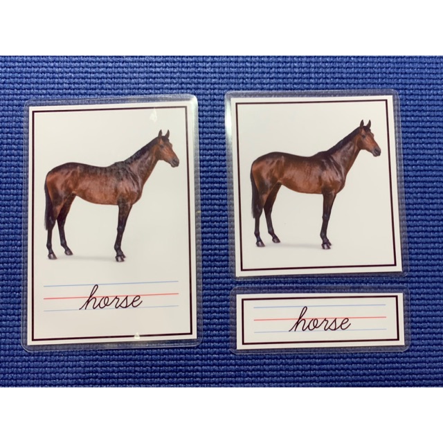 Montessori Three-Part Cards (Parts of a Horse) Cursive/Print | Shopee ...