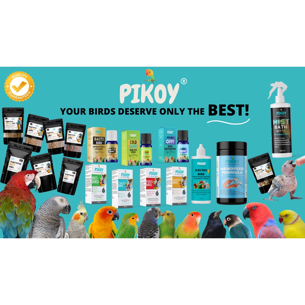 PIKOY RESELLER package | Shopee Philippines