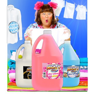 Mighty Clean Fabcon Pink Blossom - FS Pink - 1 Gallon | Shopee Philippines