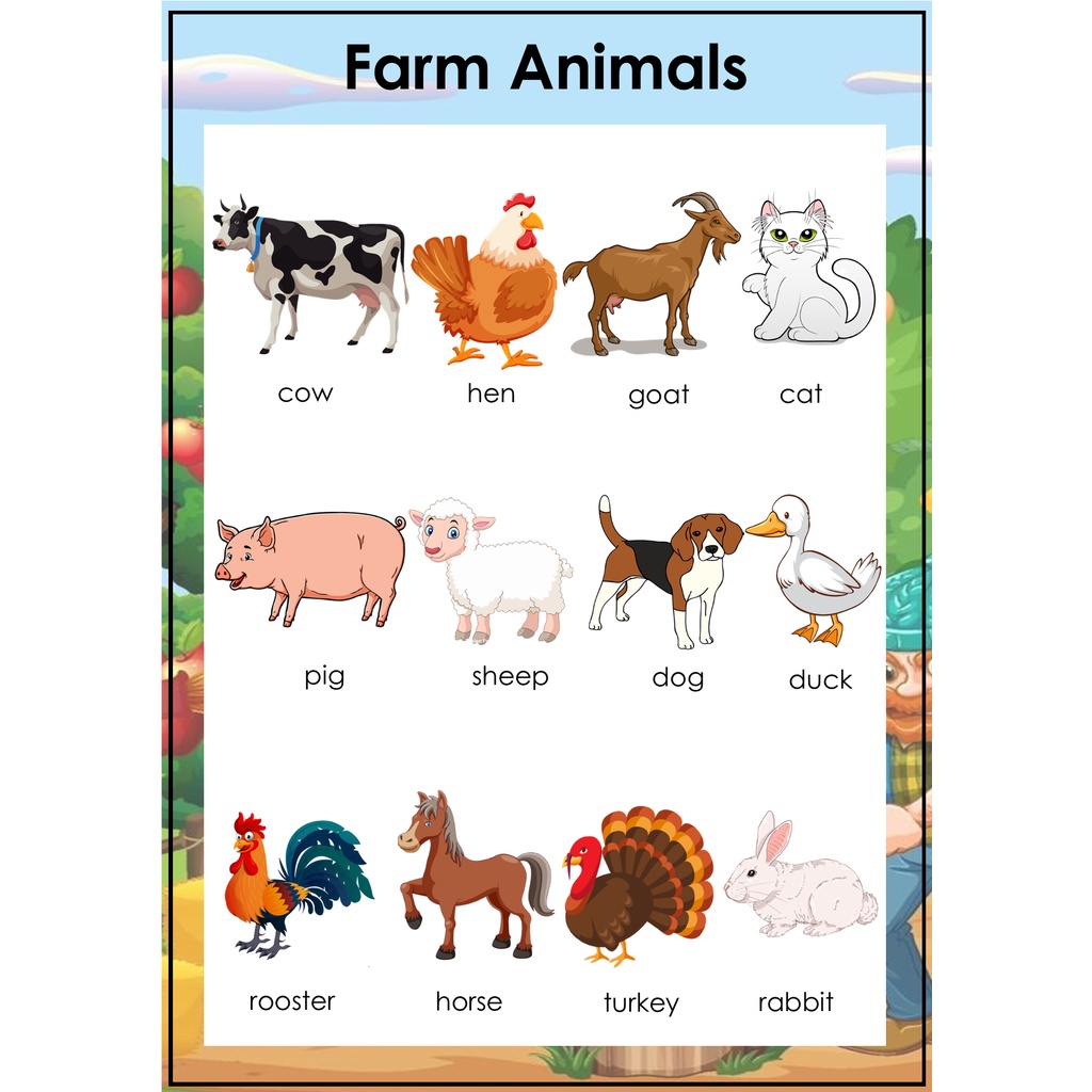 A4 Laminated Farm Animals Educational Chart for Kids | Shopee Philippines