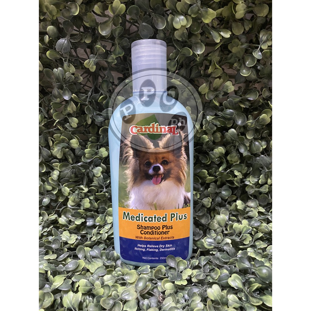 Cardinal Medicated Plus Shampoo Conditioner 250ml | Shopee Philippines