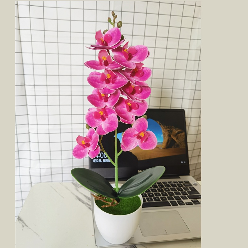 Ready stock orchid siap gubah 2t bunga orkid hiasan bunga bajet bunga ...