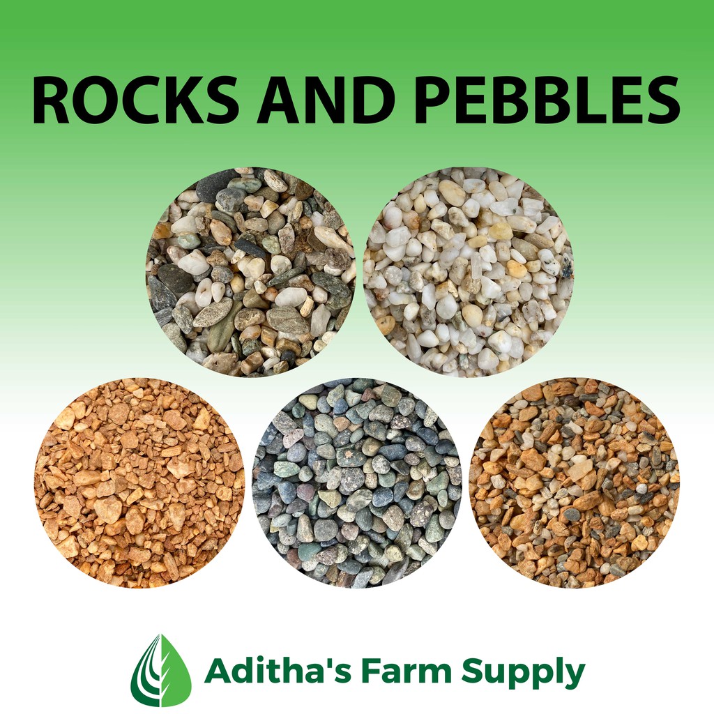 Rocks and Pebbles - 1 kilo | Shopee Philippines