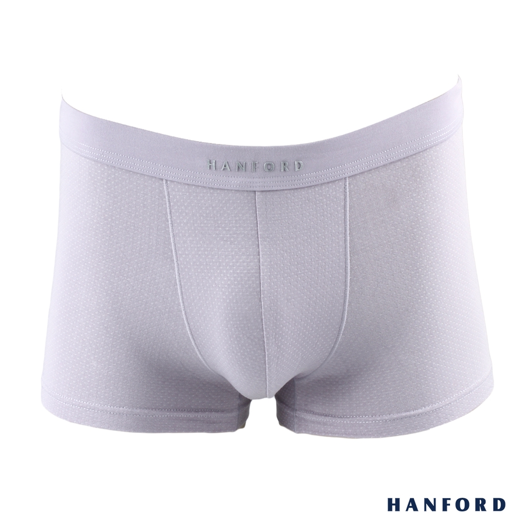 Hanford iCE Mens Inside Garter Boxer Briefs w/ Bamboo Fiber - Bean (1PC ...