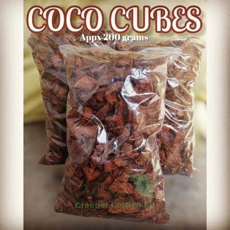 COCO CUBES for Arids and Aroids Plants Philodendron | Shopee Philippines