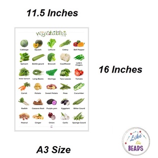 Laminated Big chart Vegetables Educational Chart for kids, A3 Chart ...