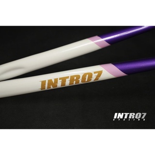 INTRO7 Monroe-C Track Frame Set (55cm) | Shopee Philippines
