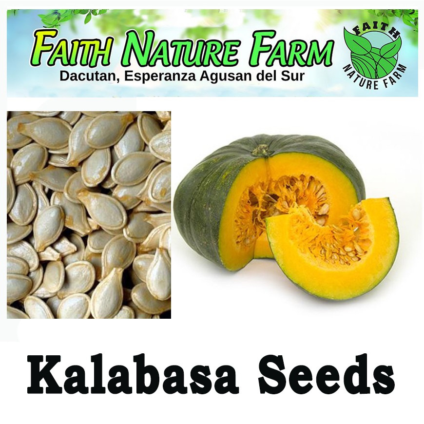 Kalabasa Squash Seeds ( 10 seeds ) | Shopee Philippines
