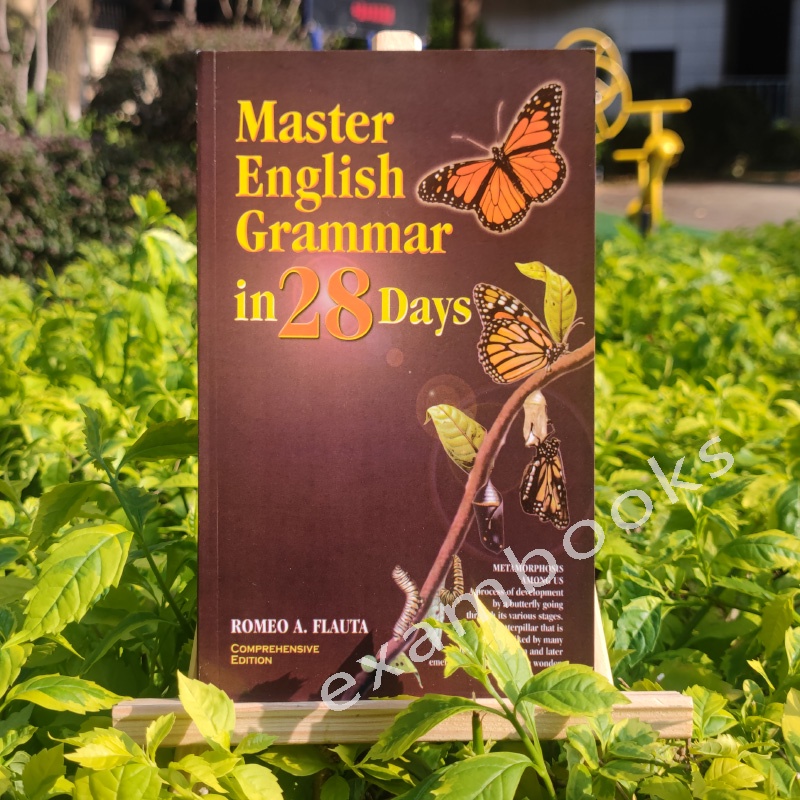 learning english grammar book easily master english grammar in 28 Days ...