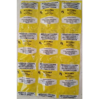 Scourex Coblet Tryco 1 pc tablet Anti-scour Anti-diarrhea Goats cattle ...