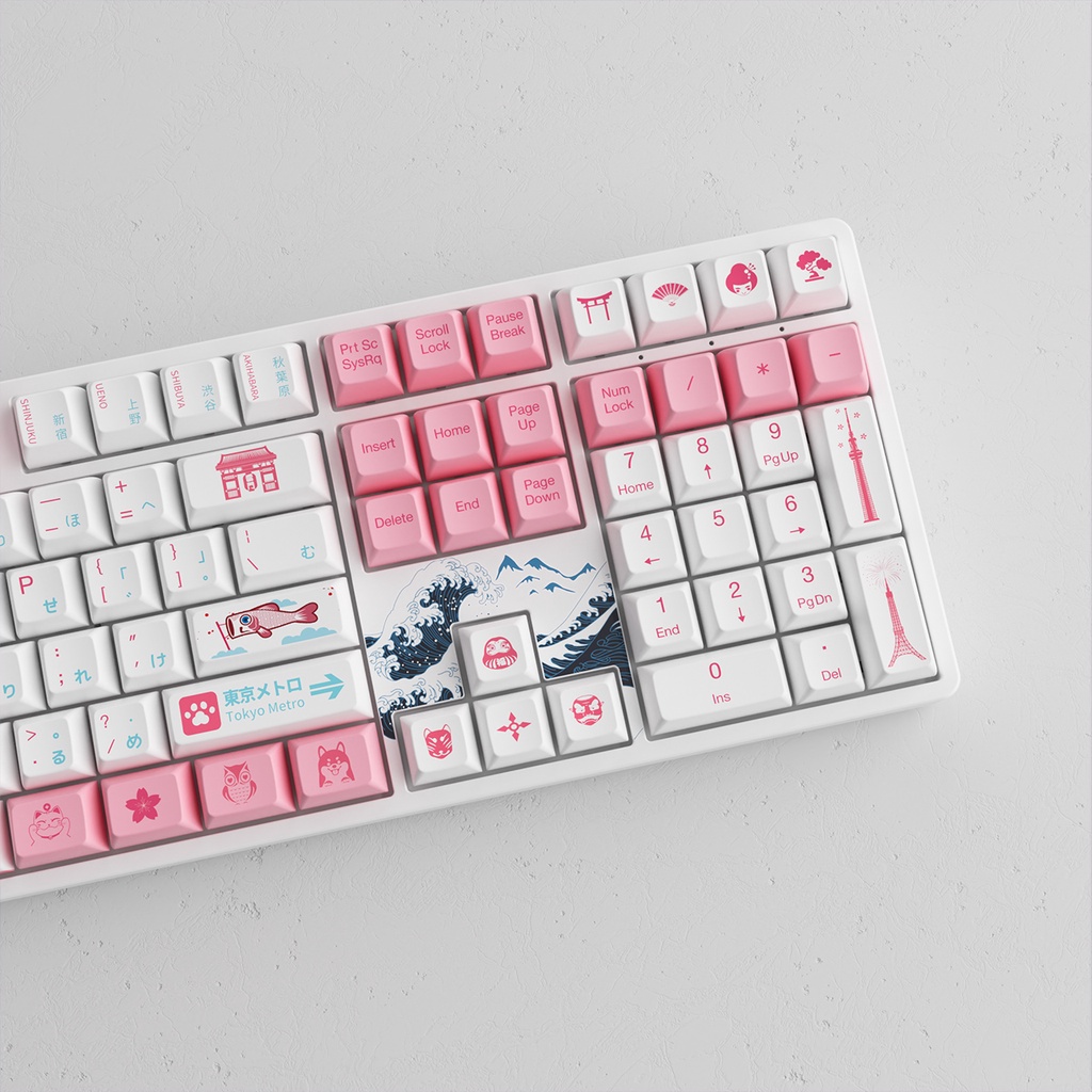 Akko World Tour Tokyo R2 5108S Hot-swappable RGB Wired Gaming ...