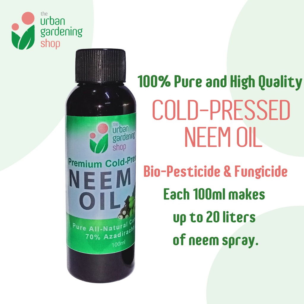 NEEM OIL (Pure Cold- Pressed Neem Oil) - An Organic Pest Solution for ...