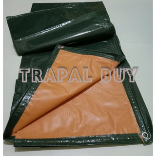 6ft x 8ft MAYAMA TOLDA LONA TARPAULIN TRAPAL COVER WITH INNER FIBER ...