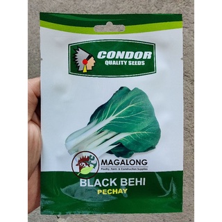 pechay - Best Prices and Online Promos - Feb 2023 | Shopee Philippines