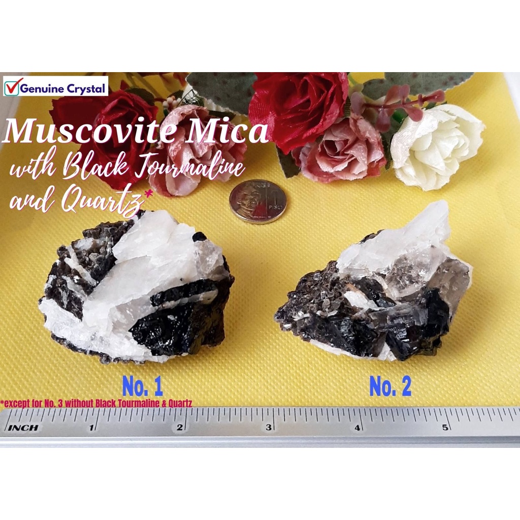 Muscovite Mica Specimen with Black Tourmaline and Quartz | Shopee ...