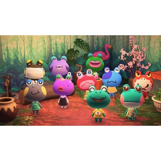 Animal Crossing New Horizon Amiibo Frog Huck Raddle Ribbot Diva Drift ...
