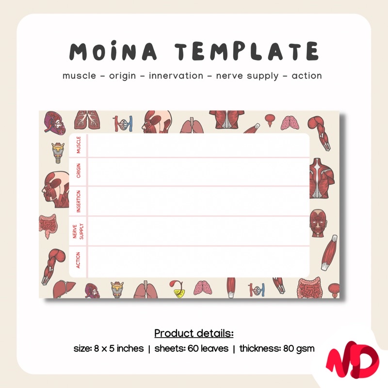 MOINA / Muscle anatomy template 8x5 inches pad | Shopee Philippines