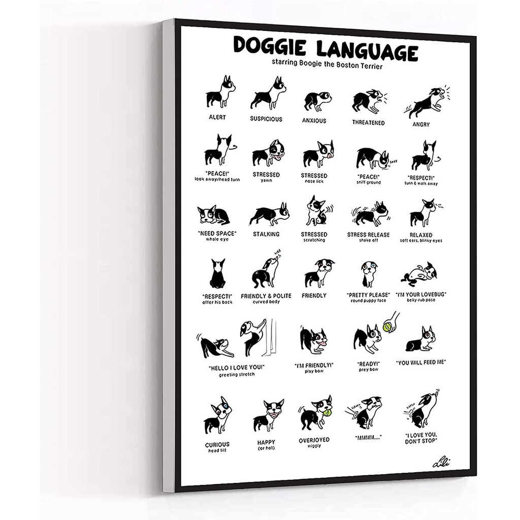 Canvas Wall Art Doggie Language Poster Dog Training Knowledge ...