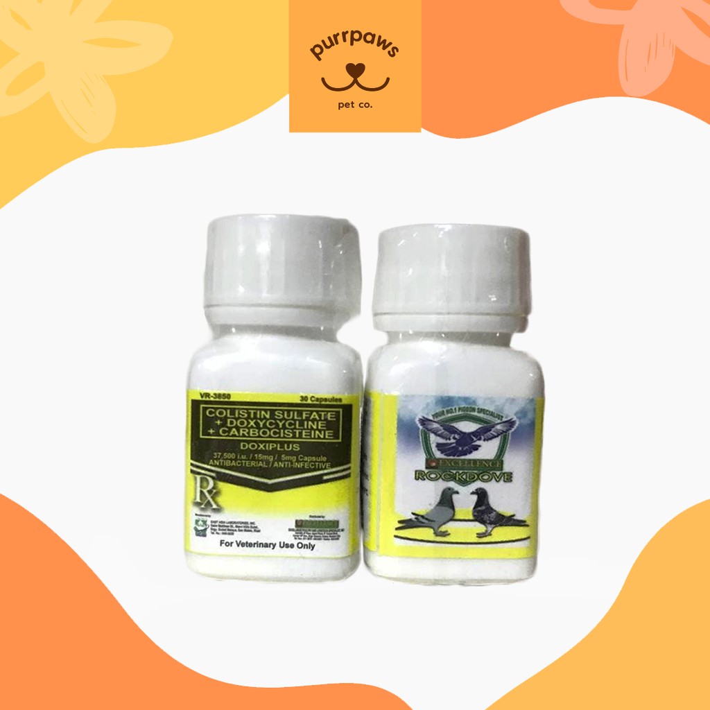 ROCKDOVE DOXIPLUS Kontra One Eye Cold Excellence (30 capsules) | Shopee ...