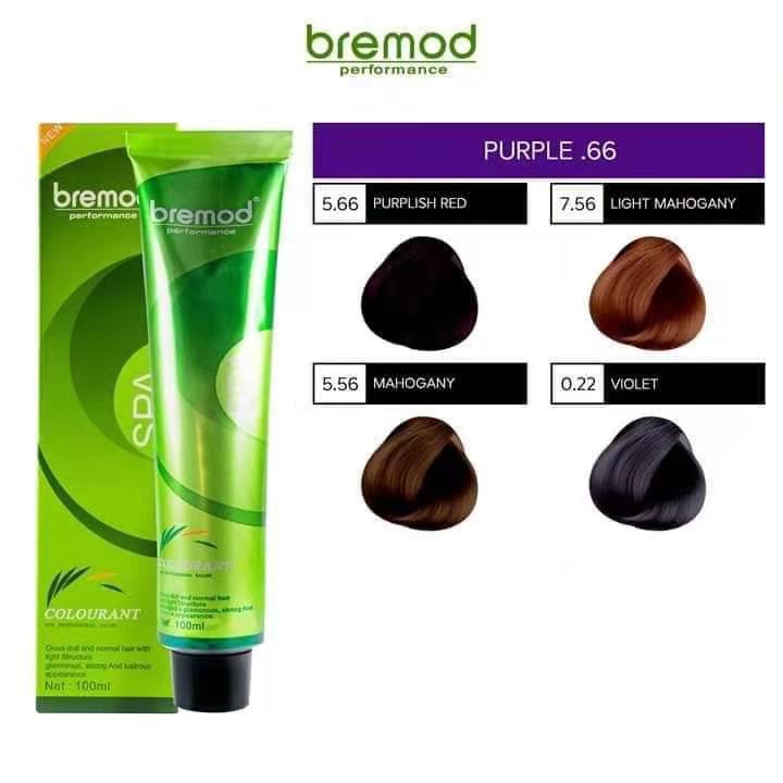 Bremod Hair Color (Green/Purple) 100ml (EXCLUDED OXIDIZER) BR-R301 ...