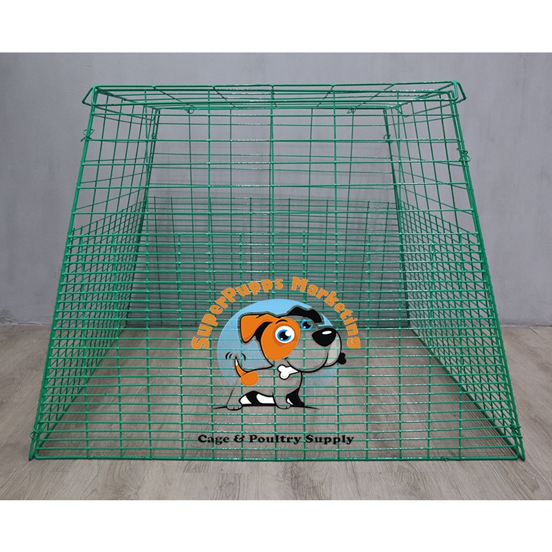 Chick Pen Panabong/Sabong /Kulungan Ng Manok/Gamefowl/Scratching Para ... Chick Pen Panabong/Sabong /Kulungan Ng Manok/Gamefowl/Scratching Para ...